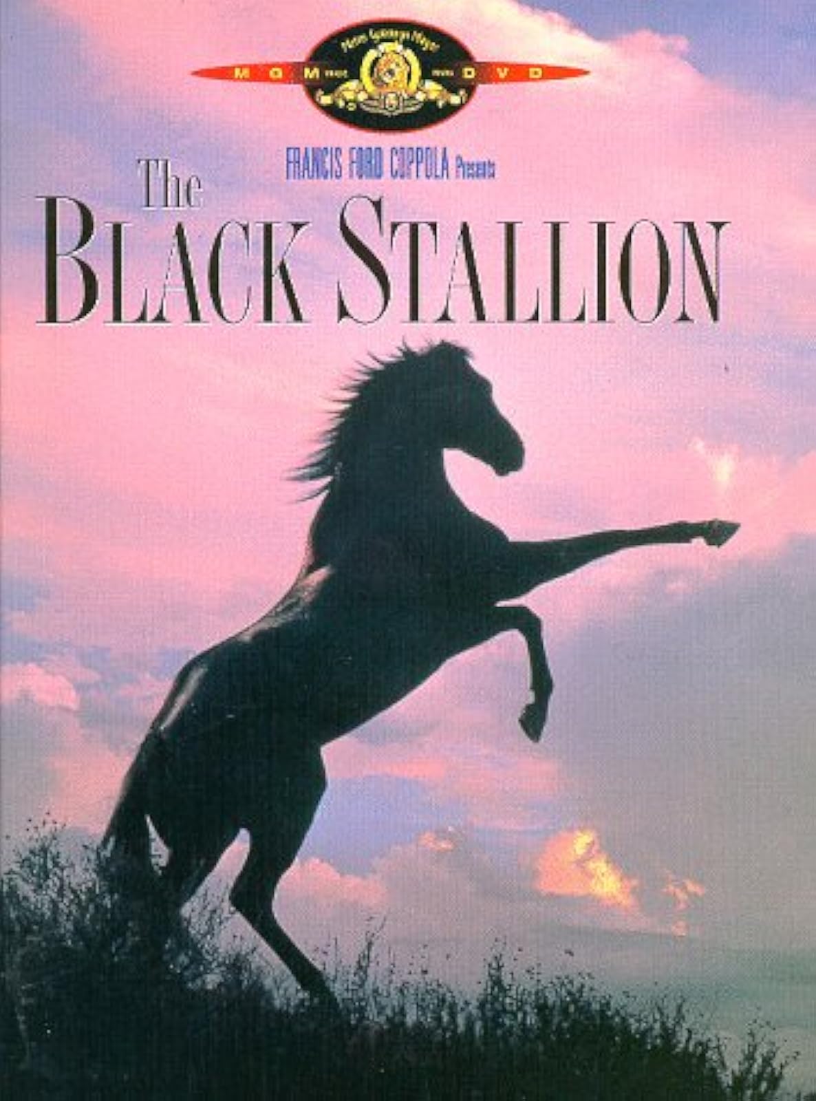 Black Stallion The On DVD With Kelly Reno Movie