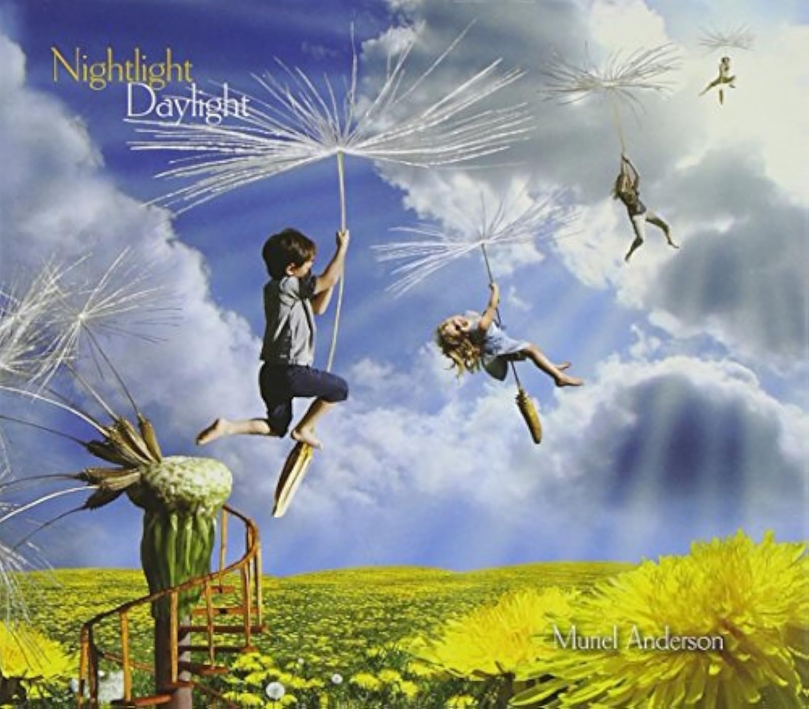 Nightlight Daylight By Anderson Muriel On Audio CD Album Pop 2014