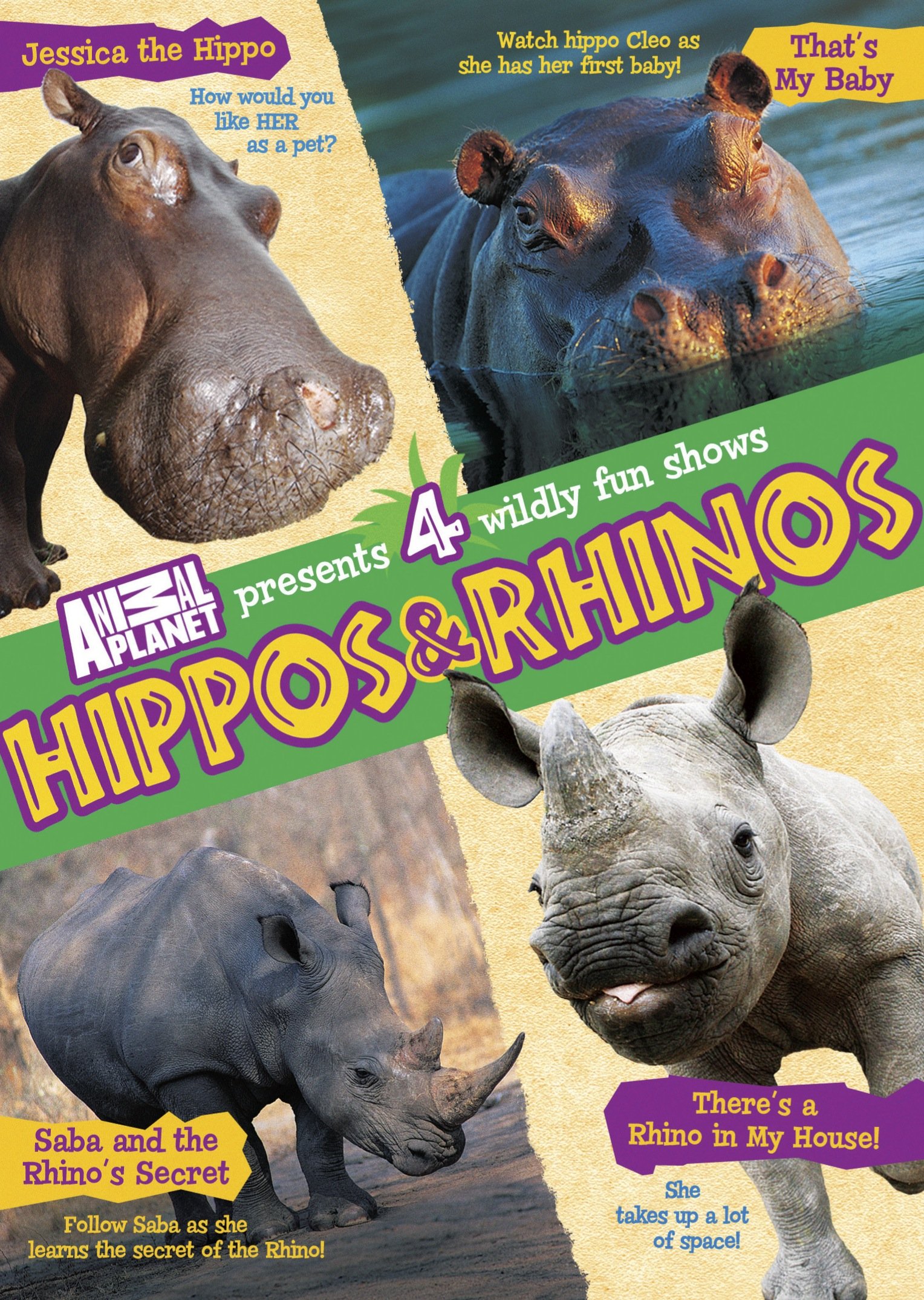 Hippos And Rhinos On DVD With Animal Planet